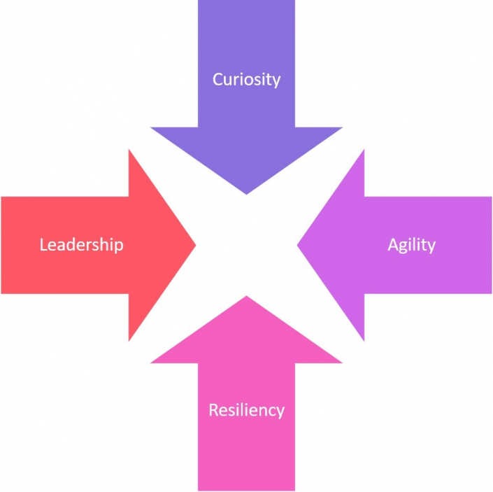 Carl Framework – Capillary Consulting